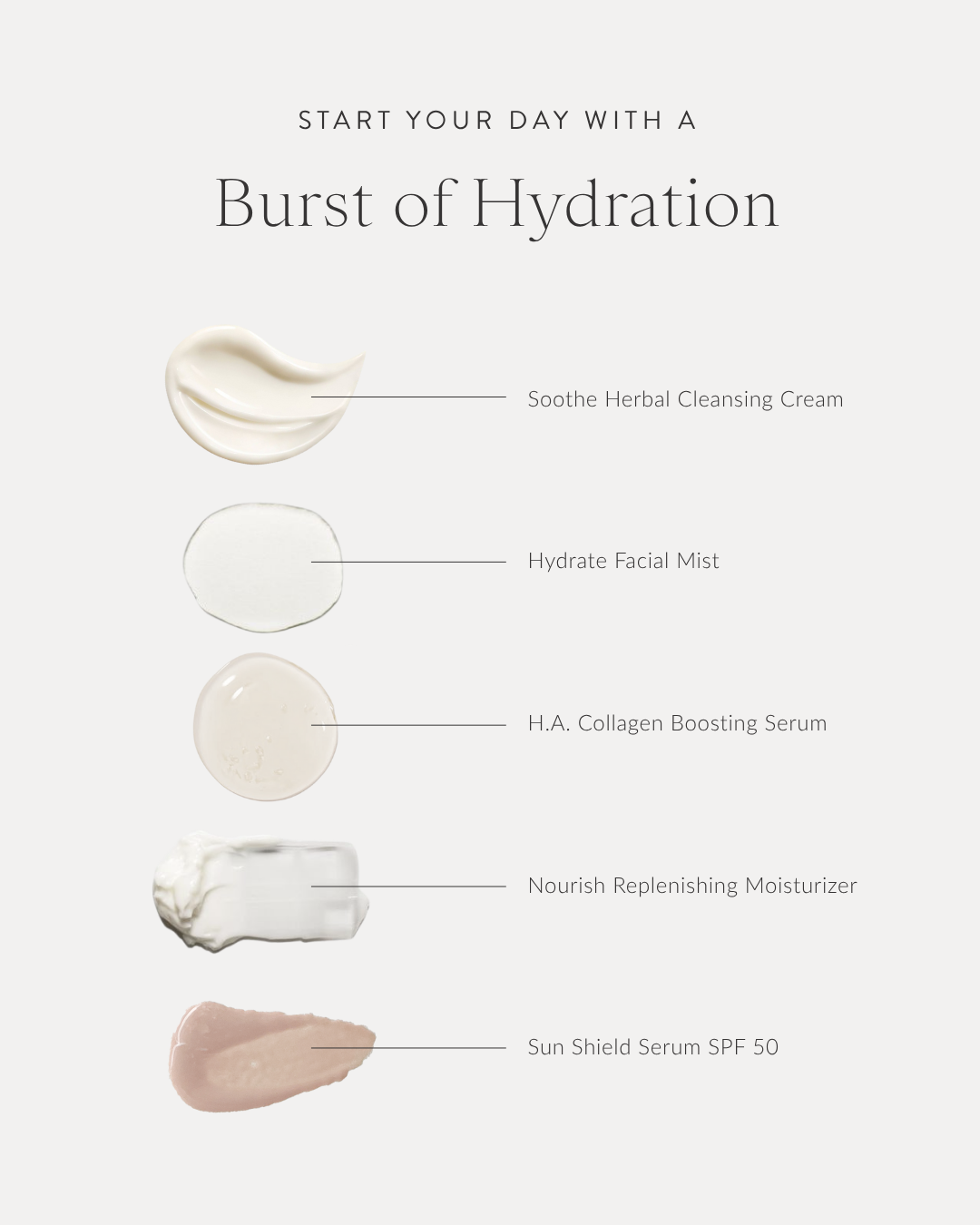 Holistic Harmony for Dehydrated + Dry Skin – Green Envee Retail